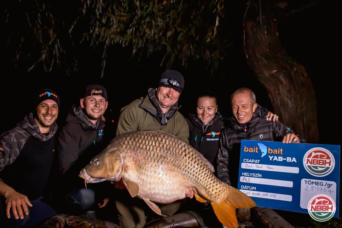 NBBH | Aktuális hírek